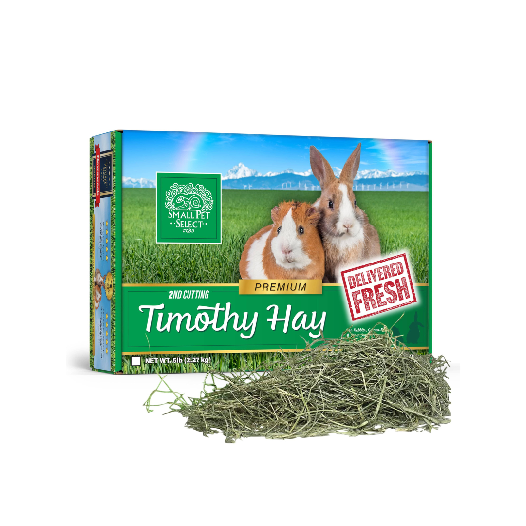 Fresh, Healthy Hay Choices for Rabbits | Small Pet Select – Small Pet ...