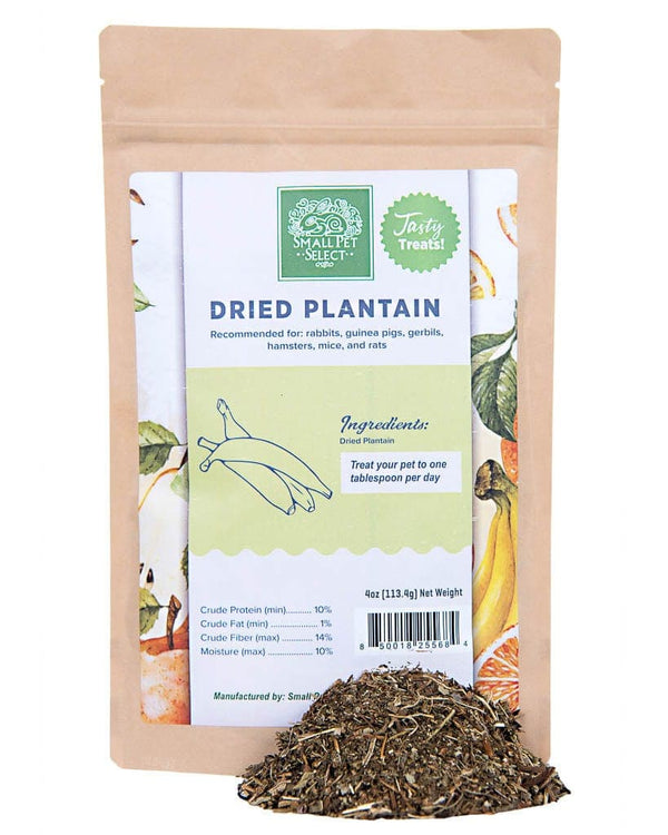 Plantain - Great Source of Fiber - Small Pet Select U.S.