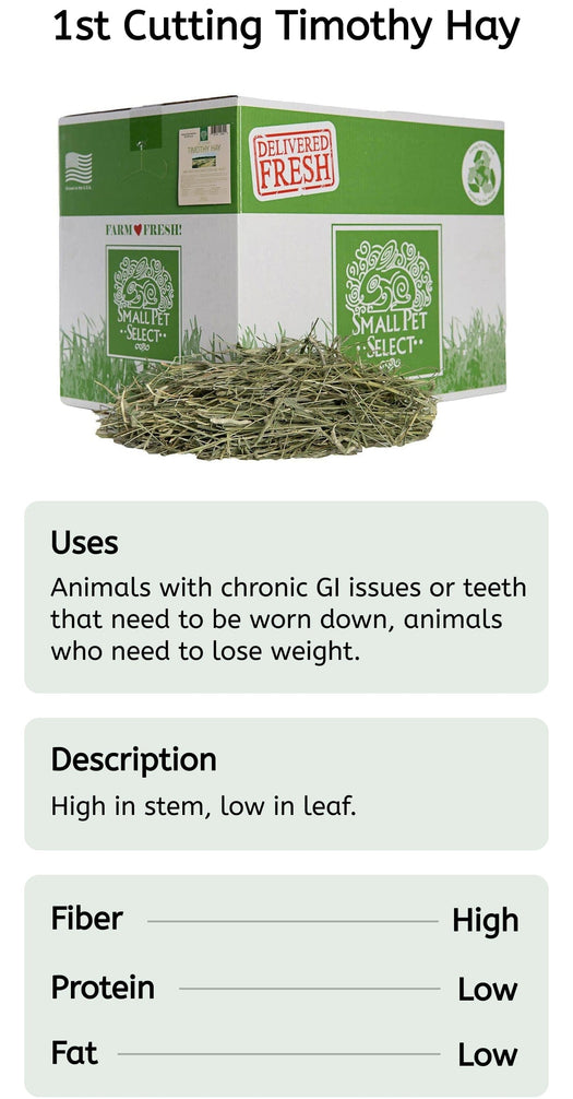 Types of Hay, Explained – Small Pet Select U.S.
