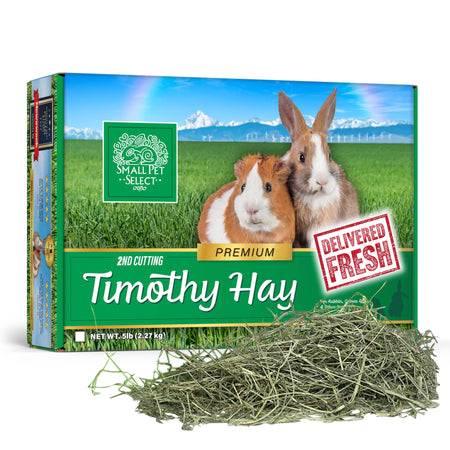 The Best Rabbit Products & Supplies | Small Pet Select – Small Pet ...