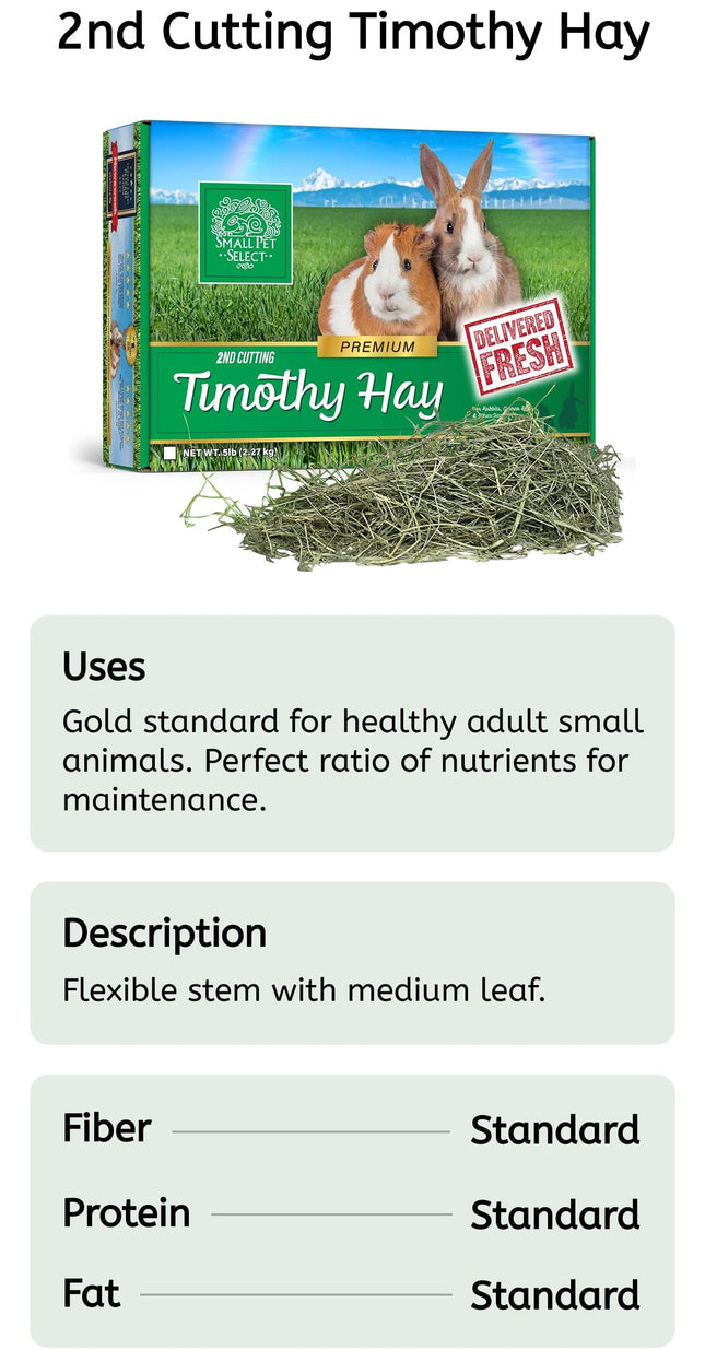 Types of Hay, Explained – Small Pet Select U.S.