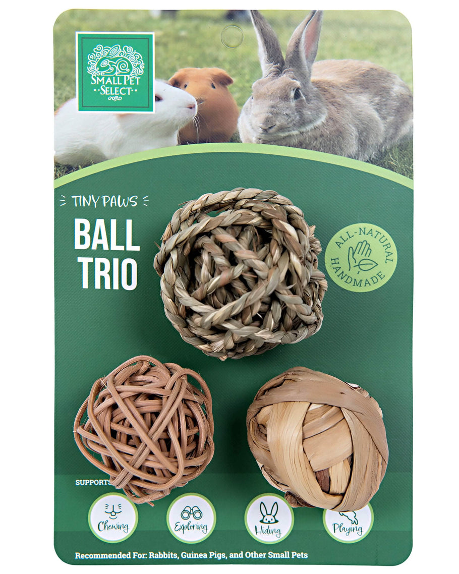 Tiny Paws Ball Trio | Chewable Balls for Small Pets – Small Pet Select U.S.