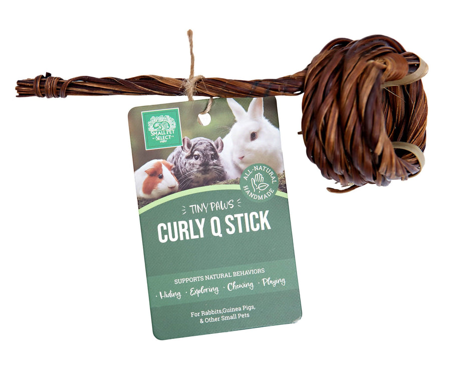 Tiny Paws Curly Q Stick | Chewable Toy for Small Pets – Small Pet ...