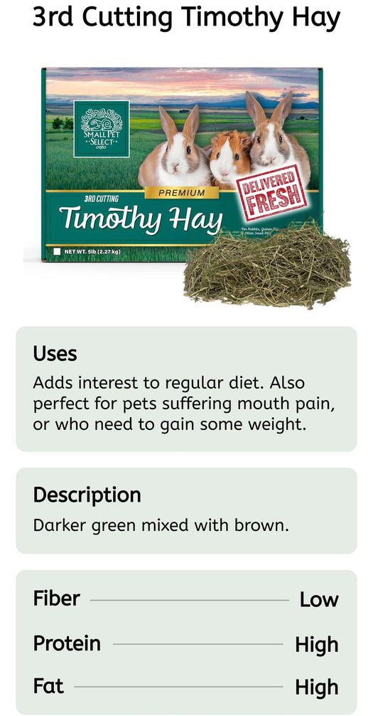Types of Hay, Explained – Small Pet Select U.S.