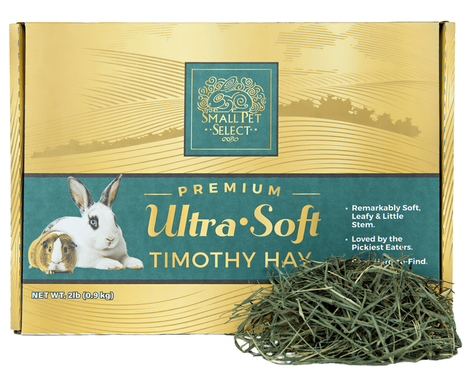 Premium Timothy Hay for Rabbits and Guinea Pigs – Small Pet Select U.S.