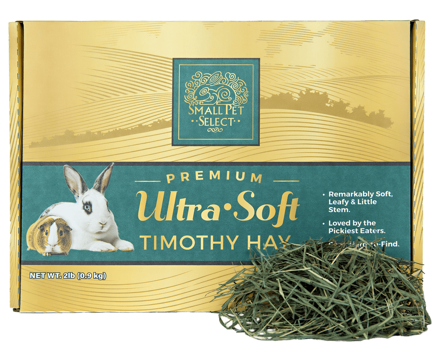 Premium Timothy Hay for Rabbits and Guinea Pigs – Small Pet Select U.S.