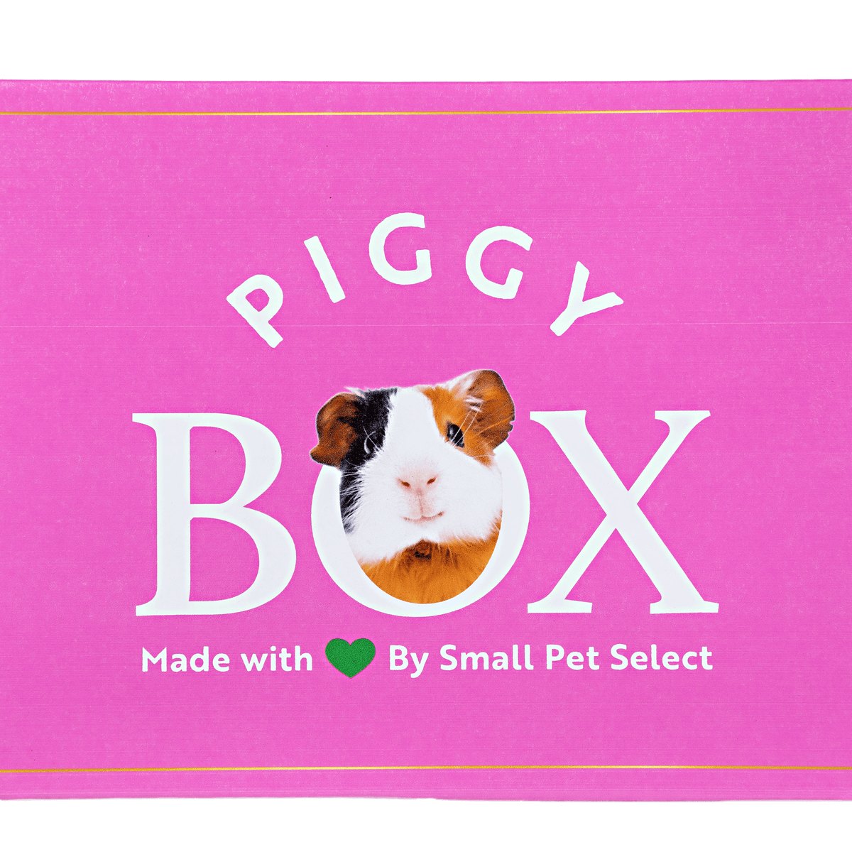 The Piggy Box | Guinea Pig Subscription Box – Small Pet Select U.S.