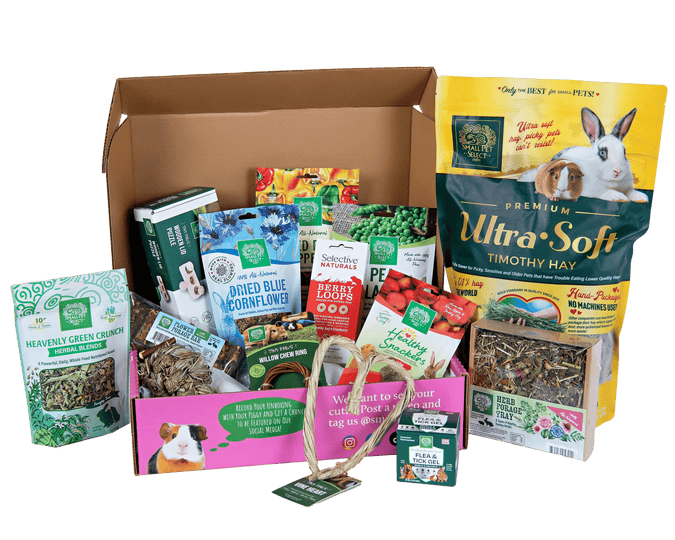 The Bunny Box | Rabbit Subscription Box – Small Pet Select U.S.