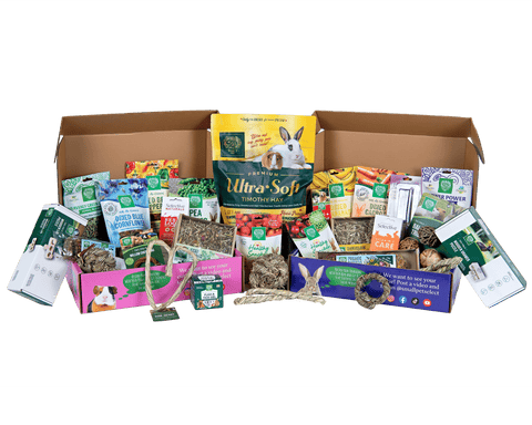 The Bunny Box | Rabbit Subscription Box – Small Pet Select U.S.