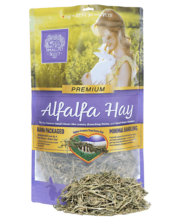 Alfalfa Hay - Great Source of Fiber, Protein and Fat! - Small Pet ...