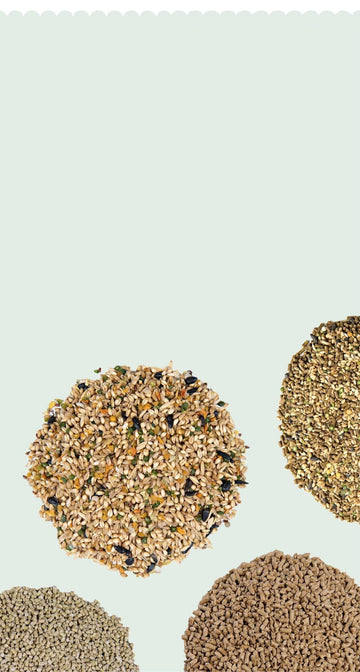 Chicken Layer Feed - Corn-Free, Soy-Free, Non-GMO – Small Pet Select U.S.