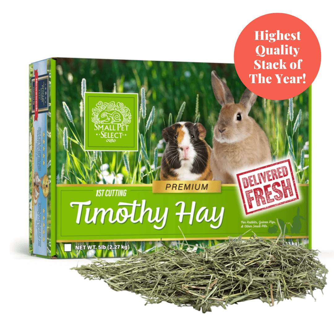 1st Cutting Timothy Hay - Great Source of Fiber! - Small Pet Select U.S.