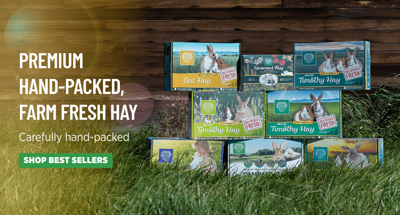 Small Pet Supplies - Farm Fresh Hay - Rabbits, Guinea Pigs & More..