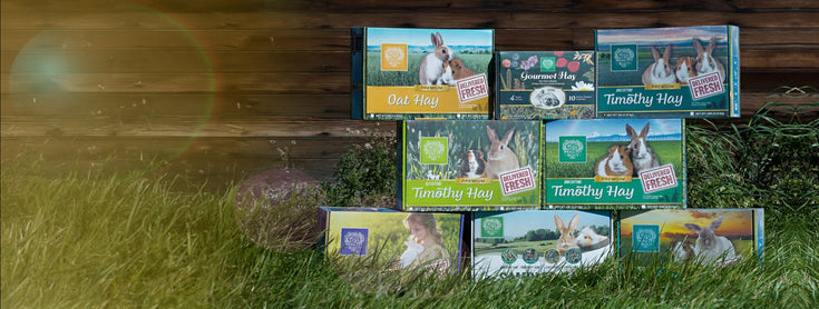 Small Pet Supplies - Farm Fresh Hay - Rabbits, Guinea Pigs & More ...