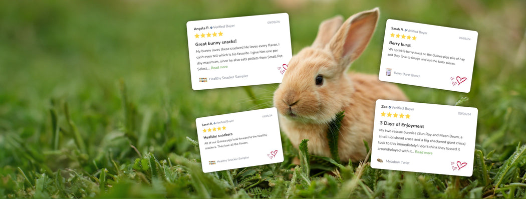 Small Pet Supplies - Farm Fresh Hay - Rabbits, Guinea Pigs & More ...