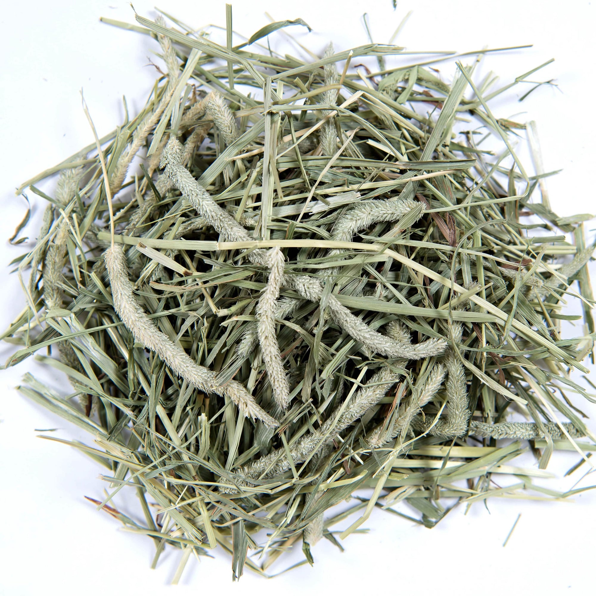 1st Cutting Timothy Hay - Great Source of Fiber! - Small Pet Select U.S.