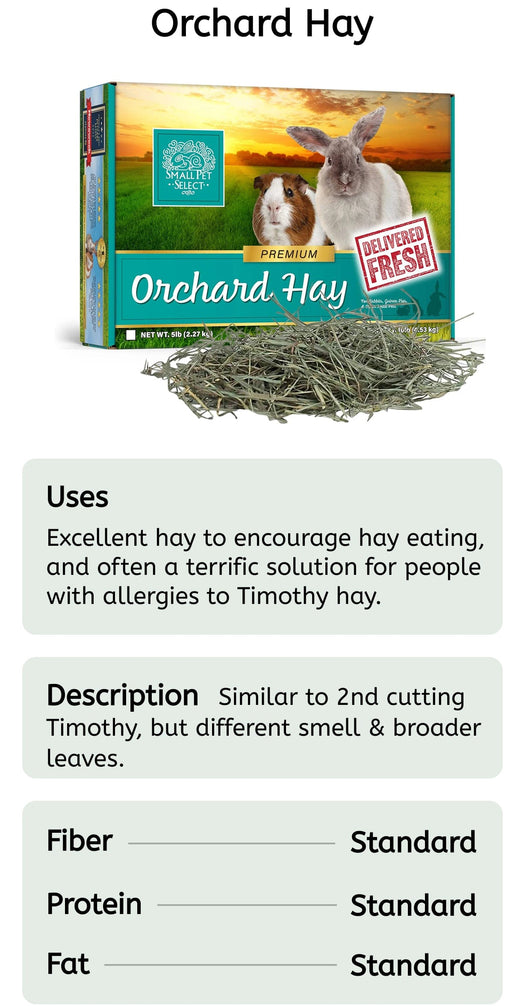 Types of Hay, Explained – Small Pet Select U.S.