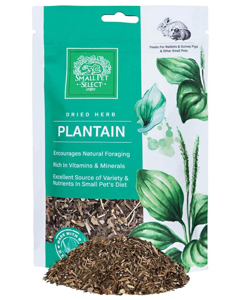 Plantain - Great Source of Fiber – Small Pet Select U.S.