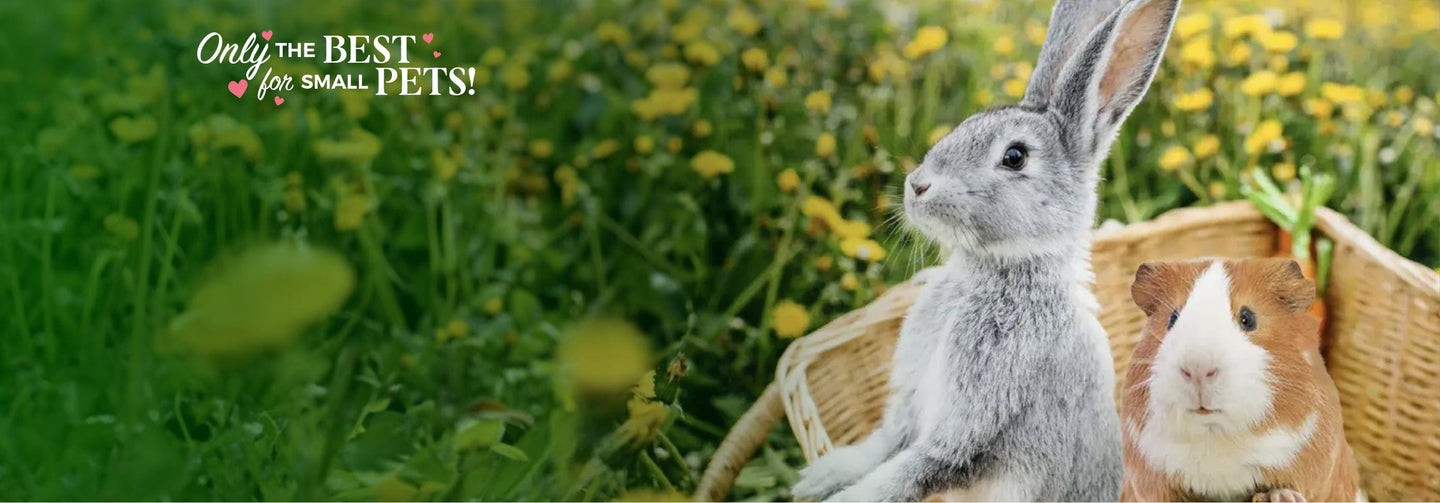 Small Pet Supplies - Farm Fresh Hay - Rabbits, Guinea Pigs & More ...