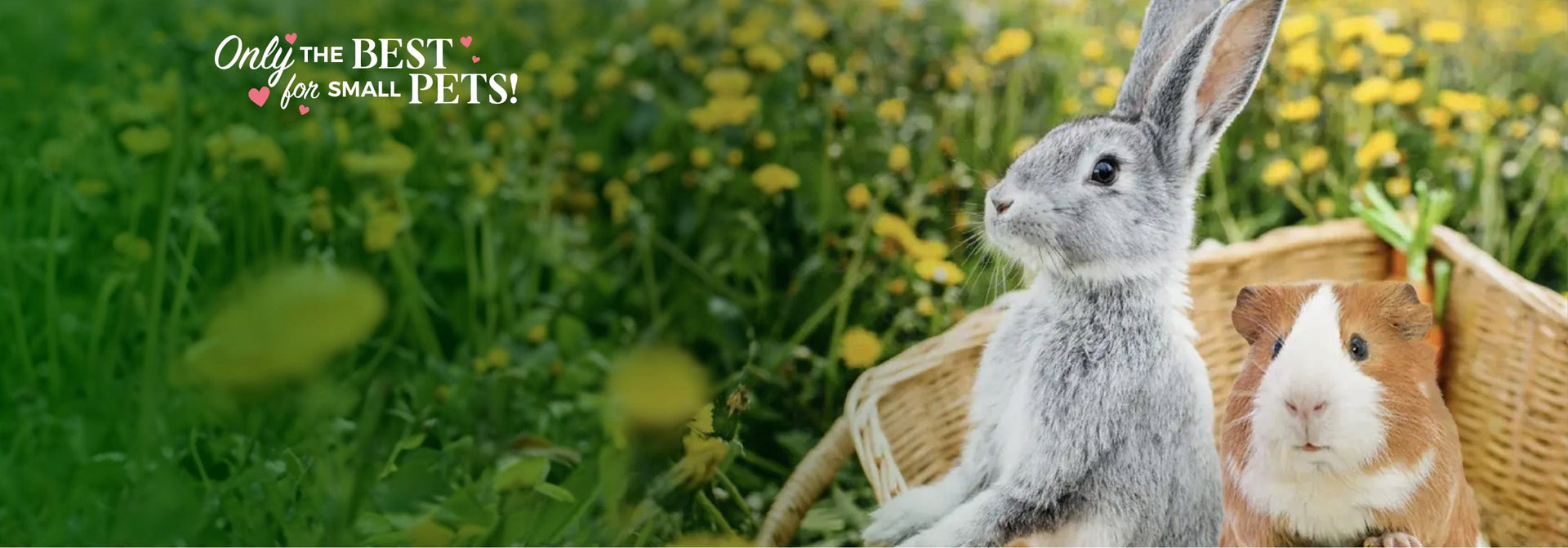 Small Pet Supplies - Farm Fresh Hay - Rabbits, Guinea Pigs & More ...