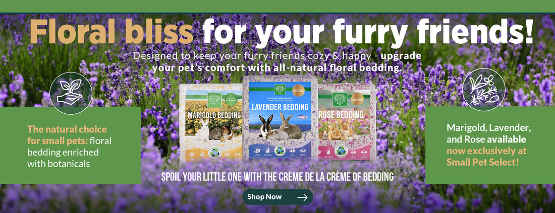 Small Pet Supplies - Farm Fresh Hay - Rabbits, Guinea Pigs & More..