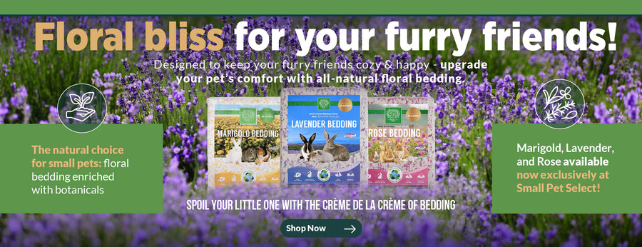 Small Pet Supplies - Farm Fresh Hay - Rabbits, Guinea Pigs & More..