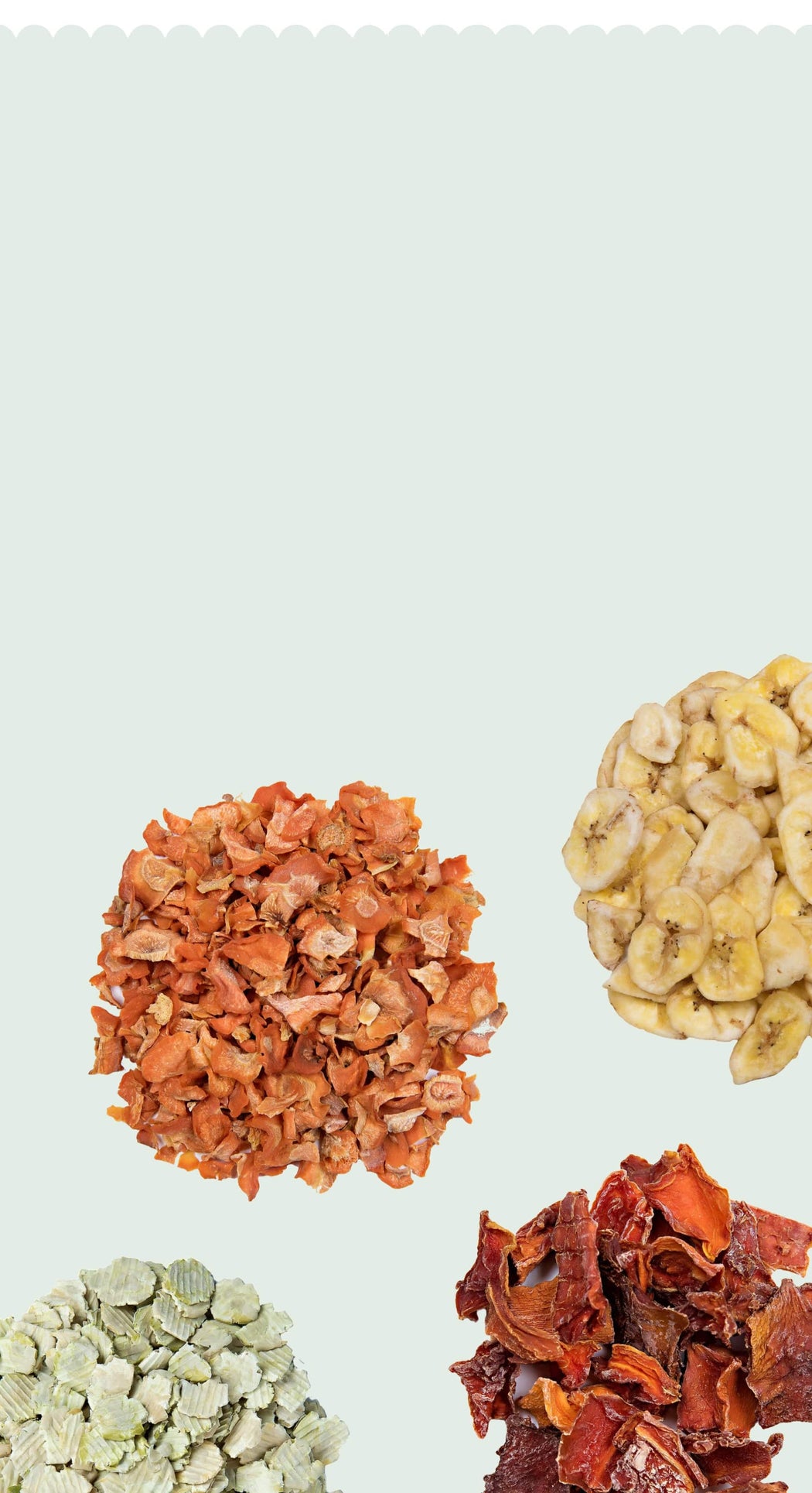 Pea Flakes - Vitamin Packed Snack for your Small Pets – Small Pet ...