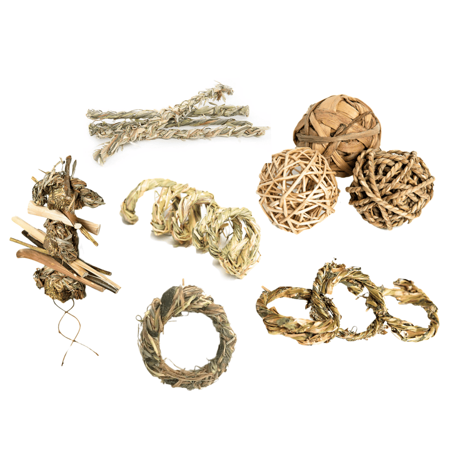 1st Choice in Guinea Pig Products & Supplies | Small Pet Select - Small ...