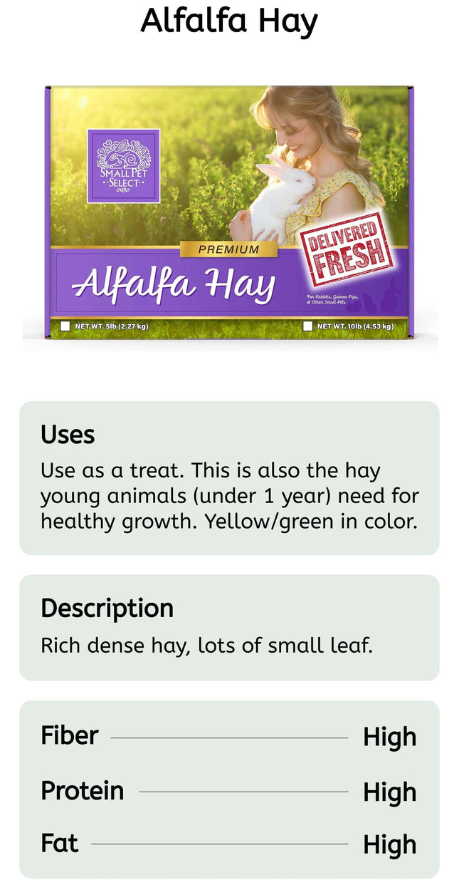 Types of Hay, Explained – Small Pet Select U.S.