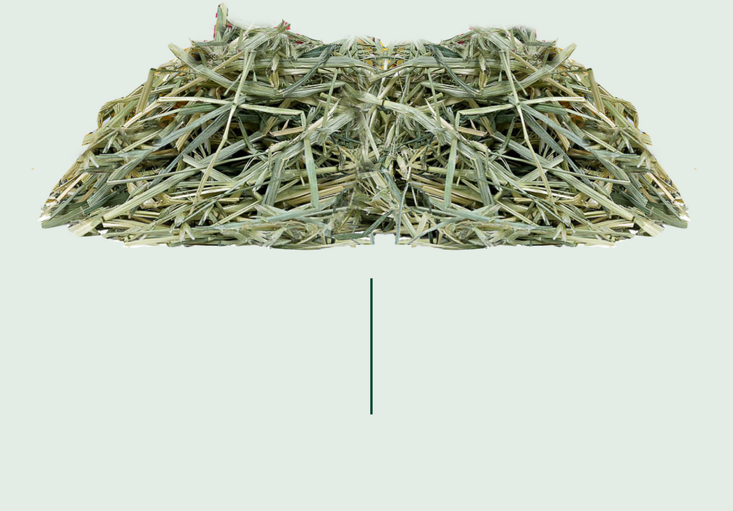 Behind The Brand – Small Pet Select U.S.