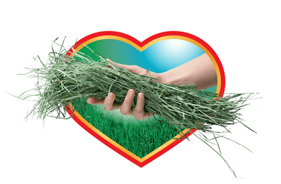 The Best Rabbit Products & Supplies | Small Pet Select – Small Pet ...