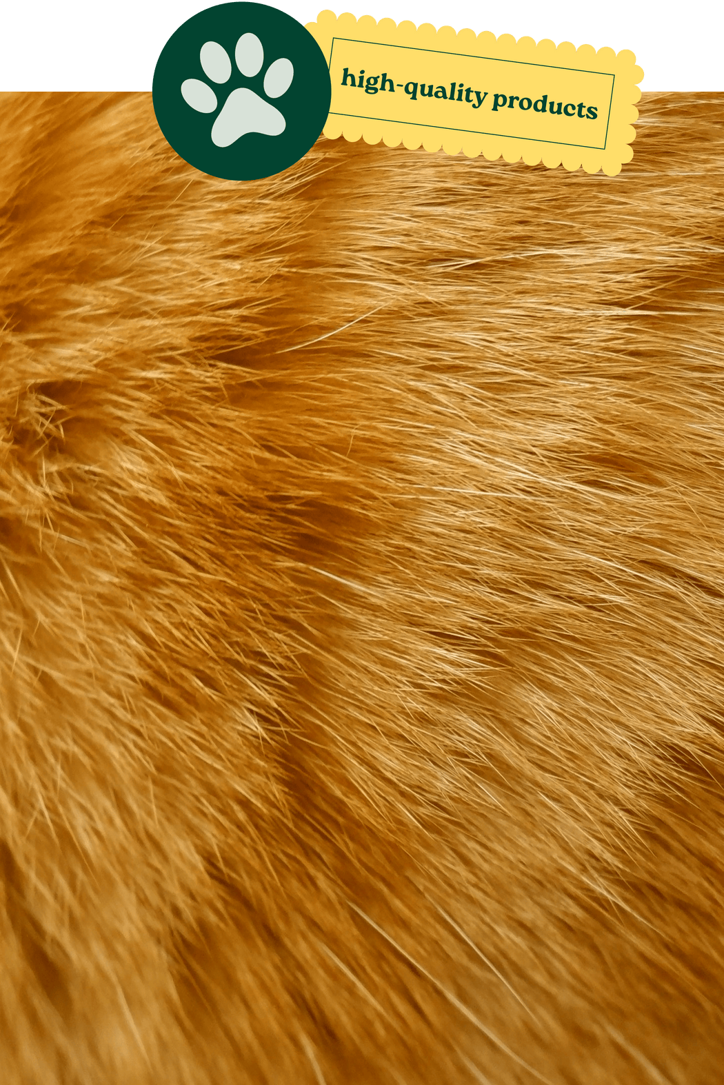 Behind The Brand – Small Pet Select U.S.