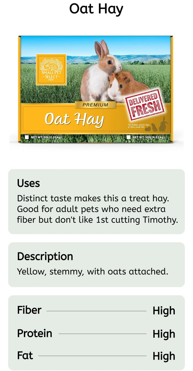 Types of Hay, Explained – Small Pet Select U.S.