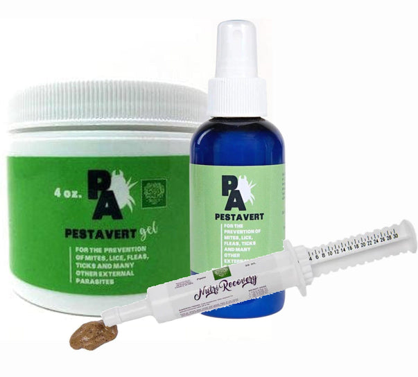 The Best Rabbit Products & Supplies | Small Pet Select – Small Pet ...