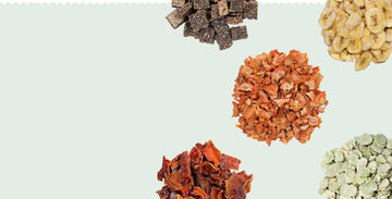 Pea Flakes - Vitamin Packed Snack for your Small Pets – Small Pet ...