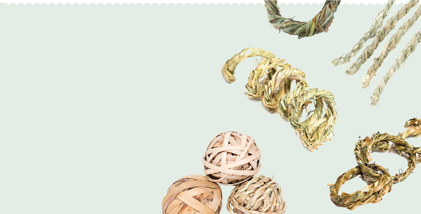 Tiny Paws Ball Trio – Natural Chew & Play Balls for Pets – Small Pet ...