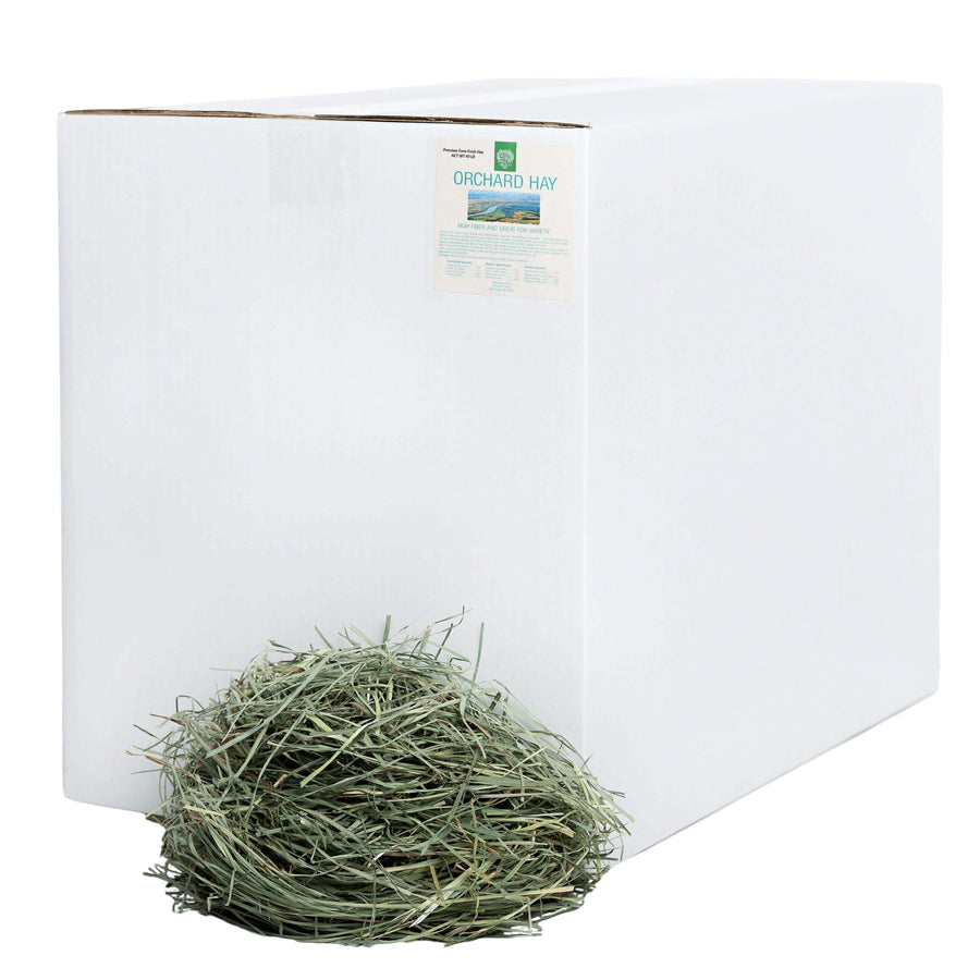 Rabbit Items – Small Pet Select U.S.