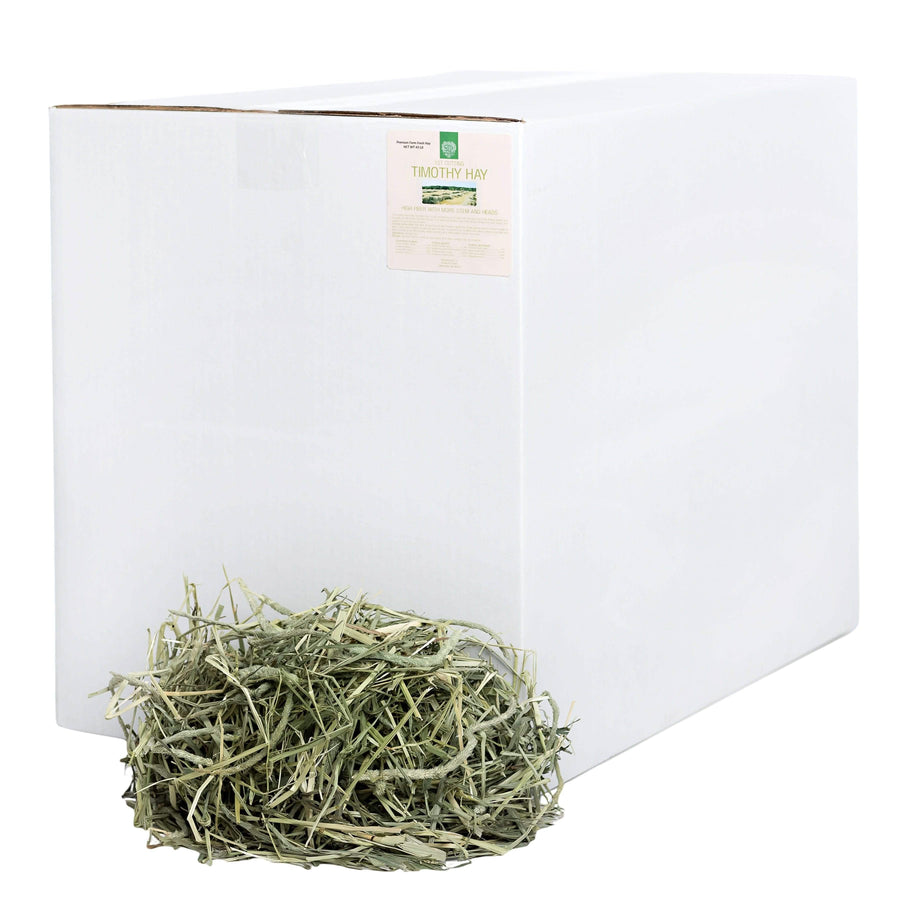 Fresh, Healthy Hay Choices for Rabbits | Small Pet Select – Small Pet ...