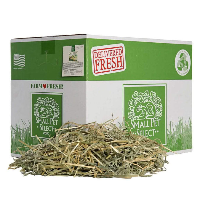 Premium Timothy Hay for Rabbits and Guinea Pigs – Small Pet Select U.S.