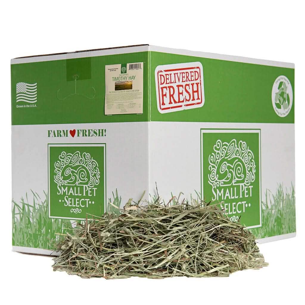 2nd Cutting Timothy Hay - Leafy with Soft Stem - Small Pet Select U.S.