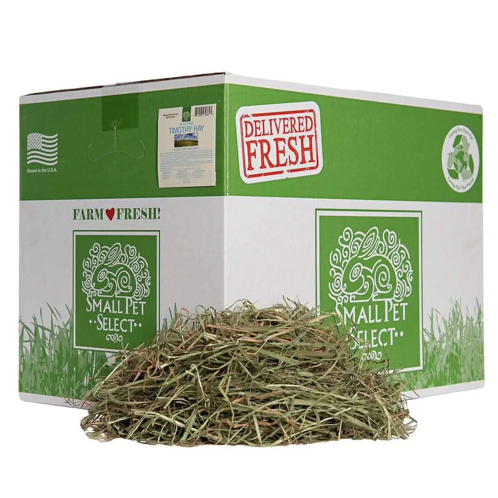 3rd Cutting Timothy Hay - High Protein, High Fat - Small Pet Select U.S.
