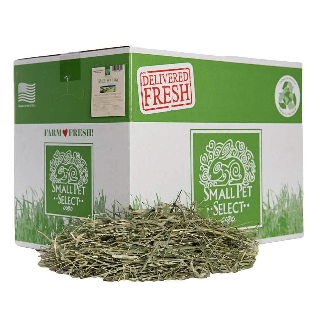 1st Cutting Timothy Hay - Great Source of Fiber! - Small Pet Select U.S.