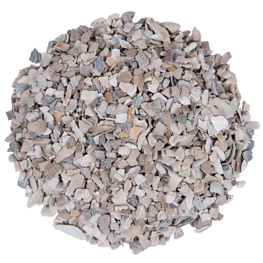 Chicken Oyster Shell - Gives the Calcium Boost Your Layers Need - Small ...