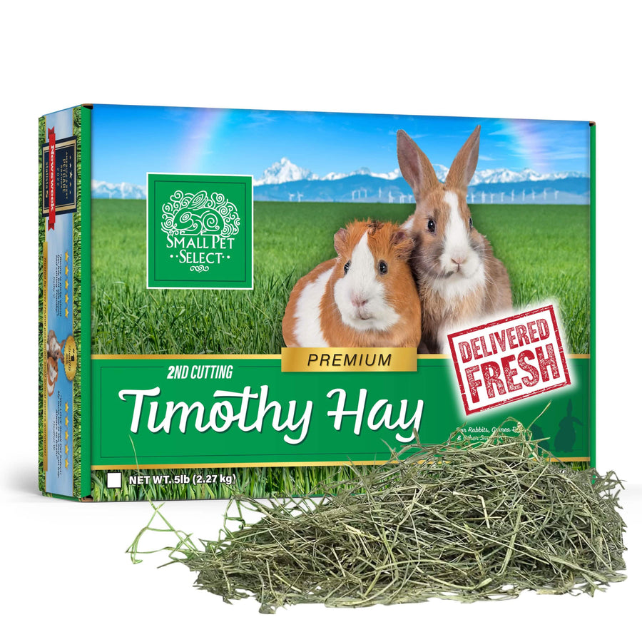 Premium Timothy Hay for Rabbits and Guinea Pigs – Small Pet Select U.S.