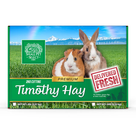 Premium Timothy Hay for Rabbits and Guinea Pigs – Small Pet Select U.S.