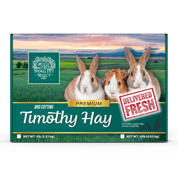 Premium Timothy Hay for Rabbits and Guinea Pigs – Small Pet Select U.S.