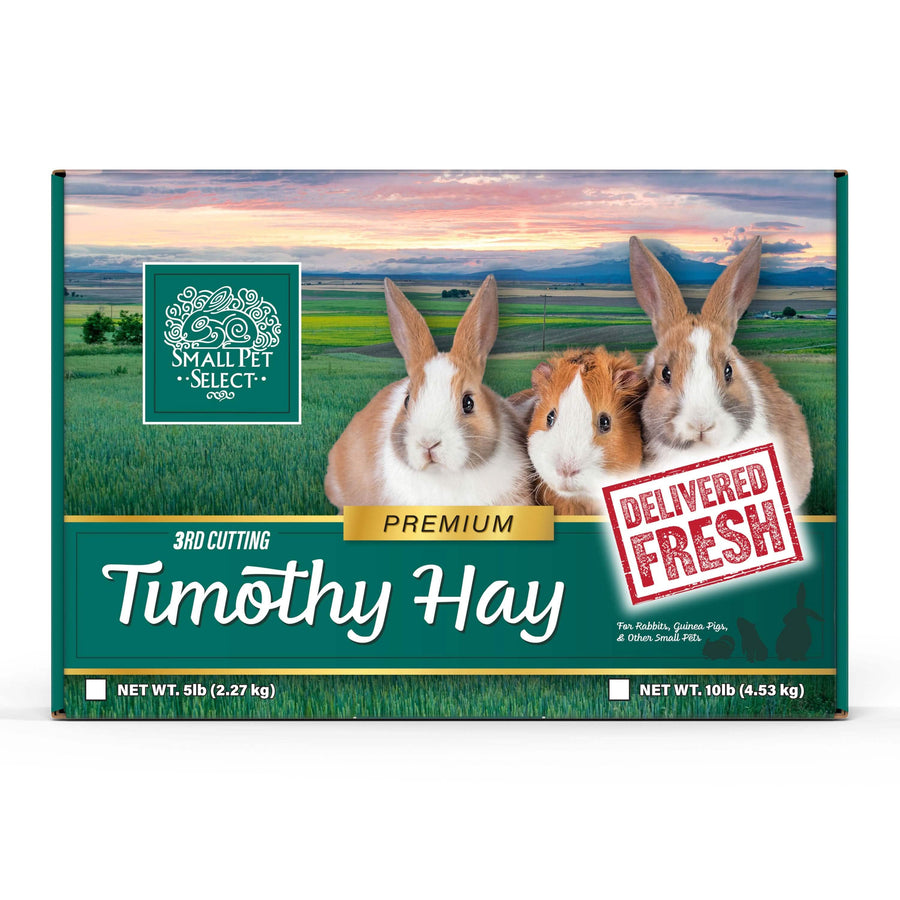 Premium Timothy Hay for Rabbits and Guinea Pigs – Small Pet Select U.S.