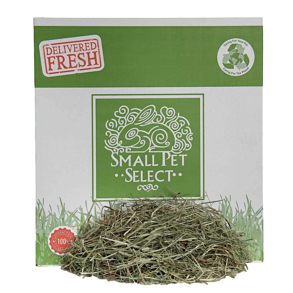 2nd Cutting Timothy Hay - Leafy with Soft Stem - Small Pet Select U.S.