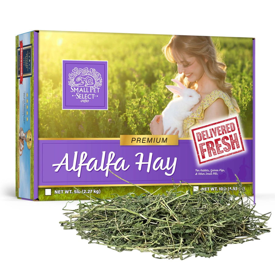 Premium Timothy Hay for Rabbits and Guinea Pigs - Small Pet Select U.S.