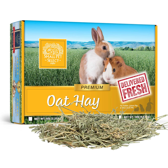 Premium Timothy Hay for Rabbits and Guinea Pigs – Small Pet Select U.S.